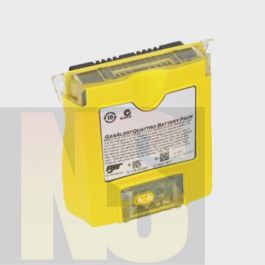 Buy BW Honeywell Gas Alert Quattro Rechargeable Battery Pack QT-BAT ...